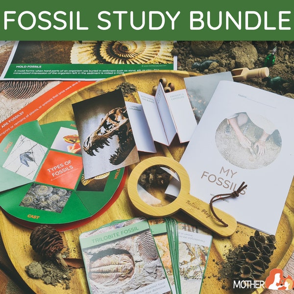 Dinosaur Fossils - Etsy