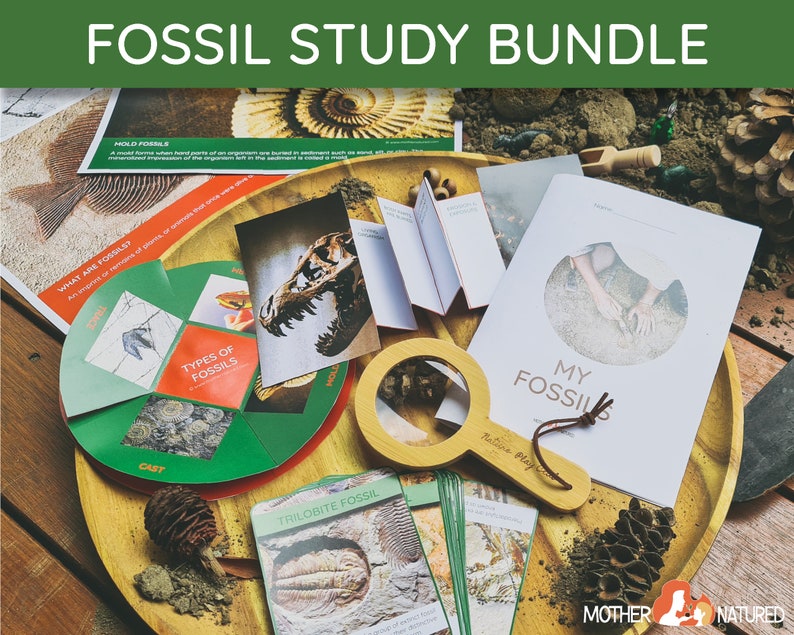 FOSSIL Printables for Kids Fossil Bundle Dinosaur Digital - Etsy