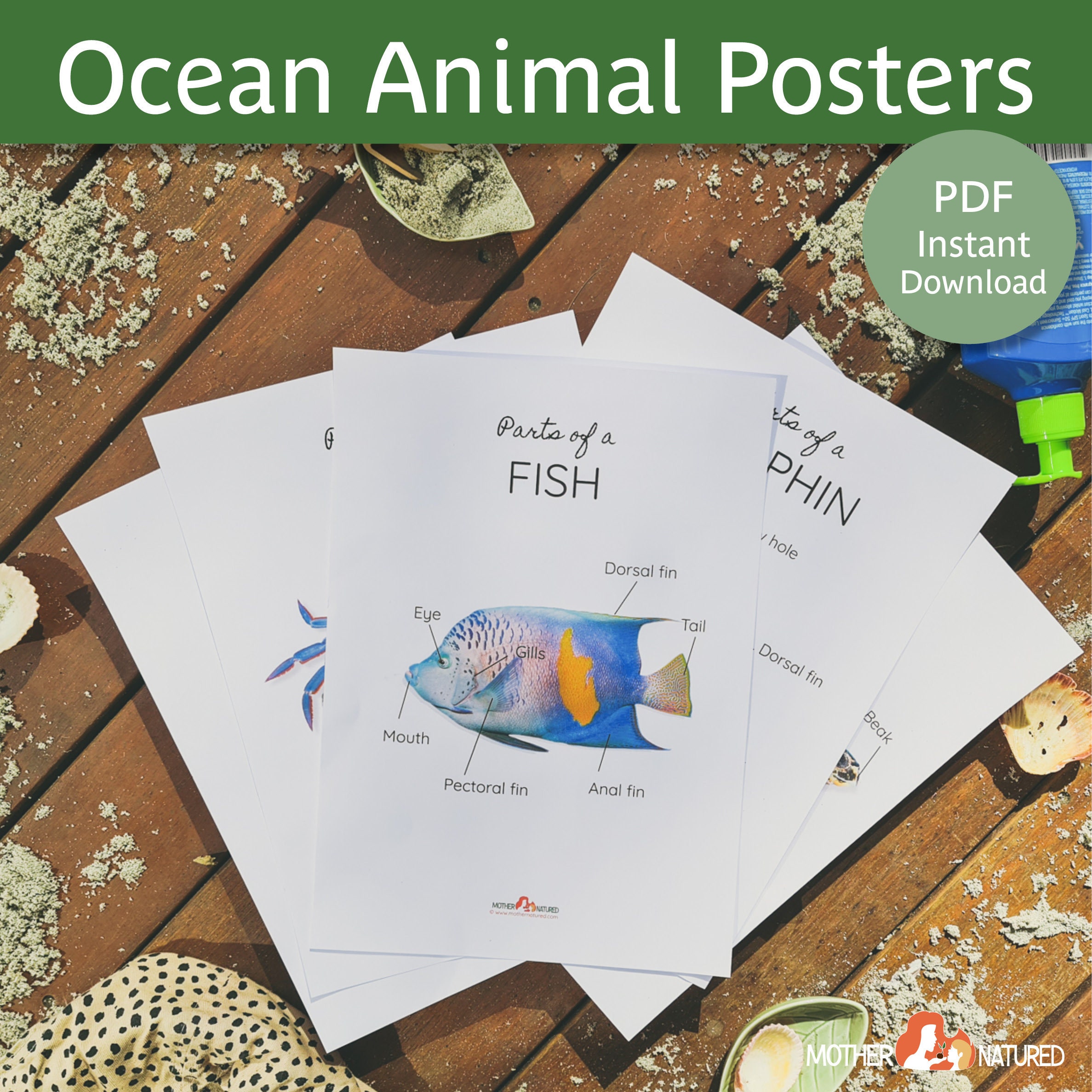 Ocean Animal Posters Marine Animal Posters Parts of Posters Under the ...