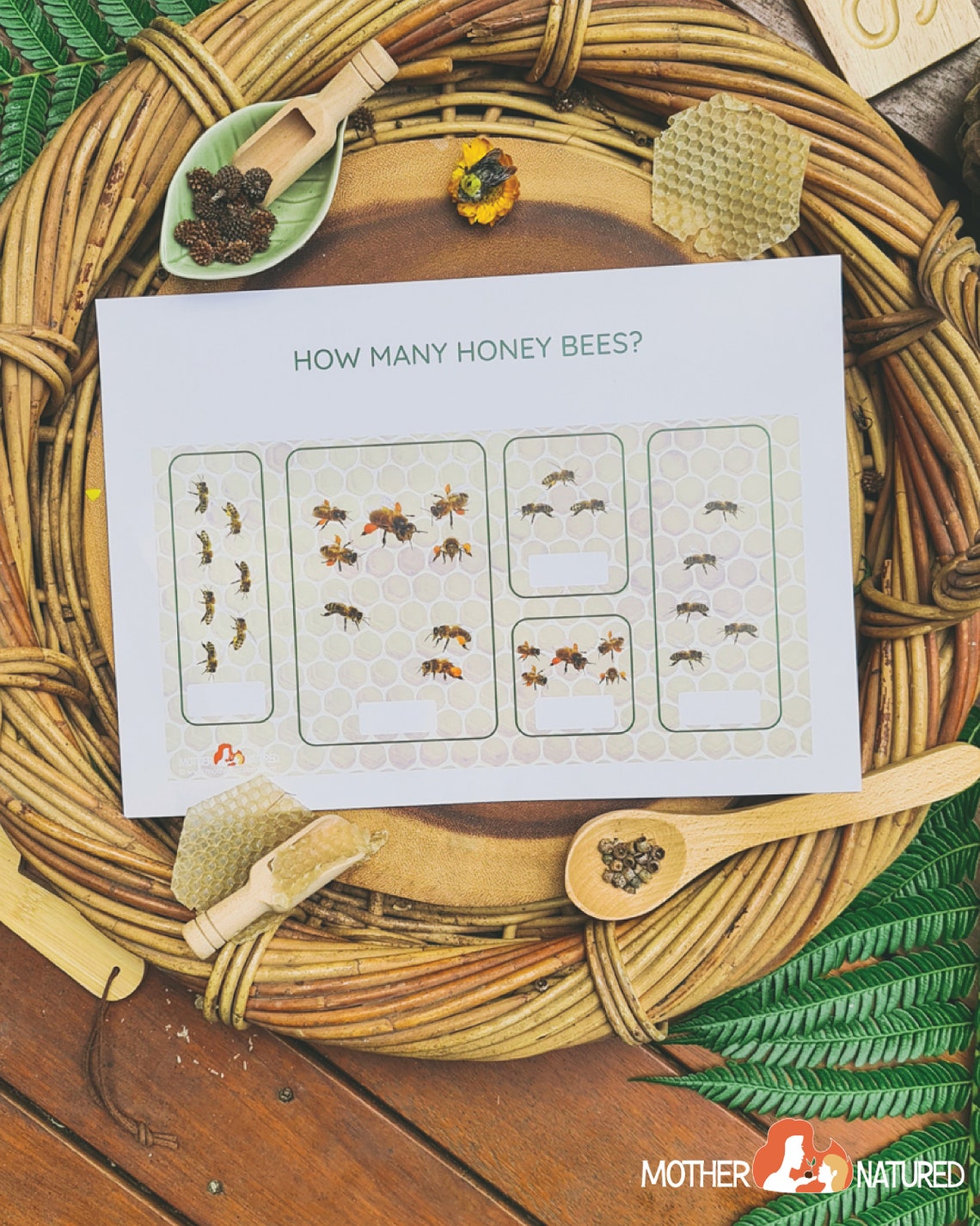 Honey Bee Activity Pack - Etsy
