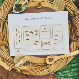 Honey Bee Activity Pack - Etsy