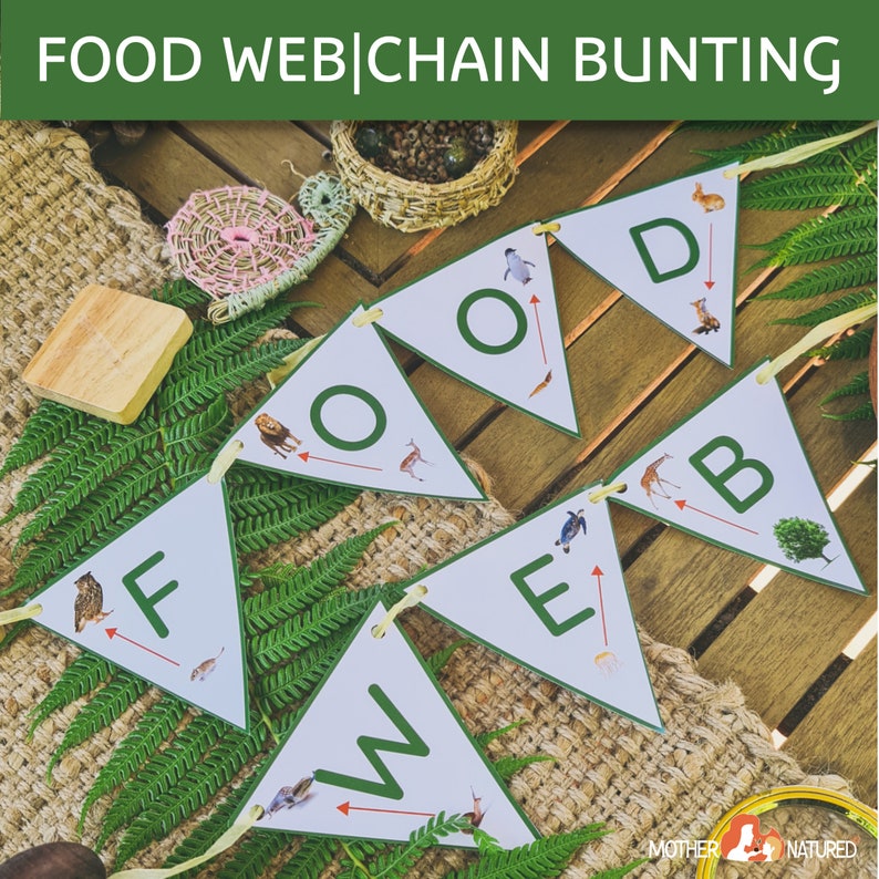 Food Chain Printables Bundle Food Web Printables Bundle - Etsy Australia