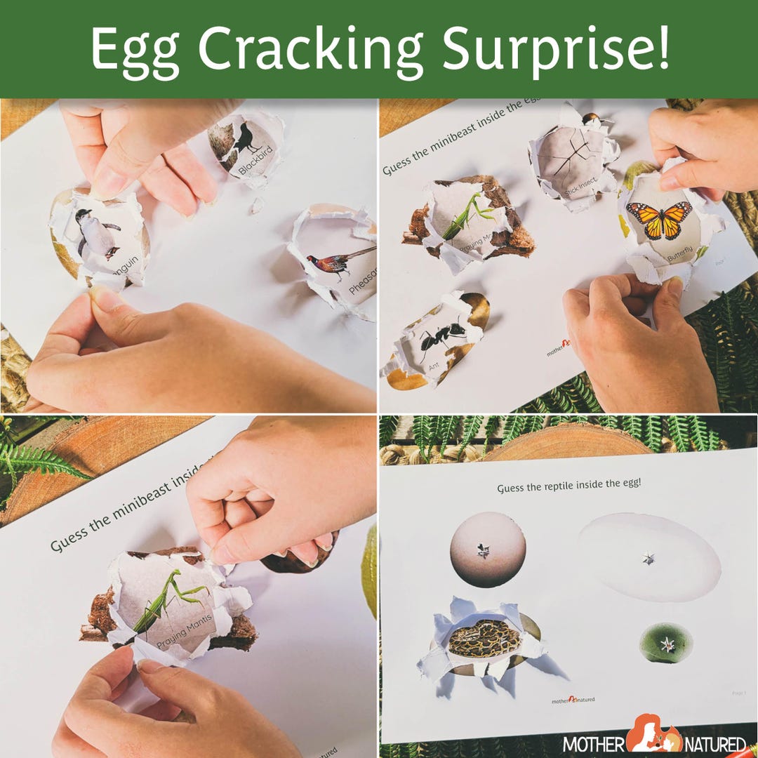 Egg Surprise Guessing Game | Animal Egg Activity | Easter Egg Activity ...