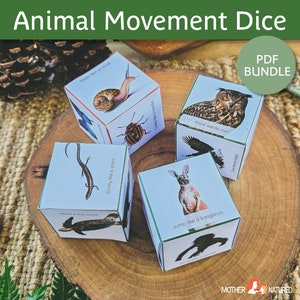 Animal Movement Activity | Animal Classification Activity | Animal ...