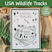 American Animal Tracks Guide Animal Tracking for Kids USA Animal ...