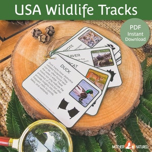 American Animal Tracks Guide | Animal Tracking for Kids | USA Animal ...