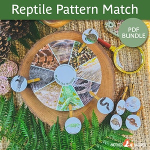 Reptile Matching Activity | Reptile Game | Pattern Activity | Preschool ...