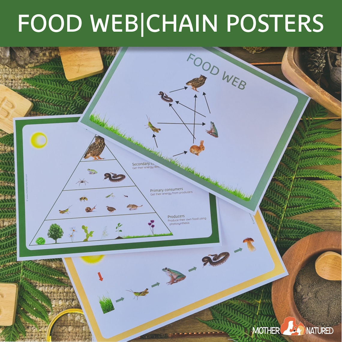 Food Chain Posters and Bunting Food Web Posters and Bunting - Etsy