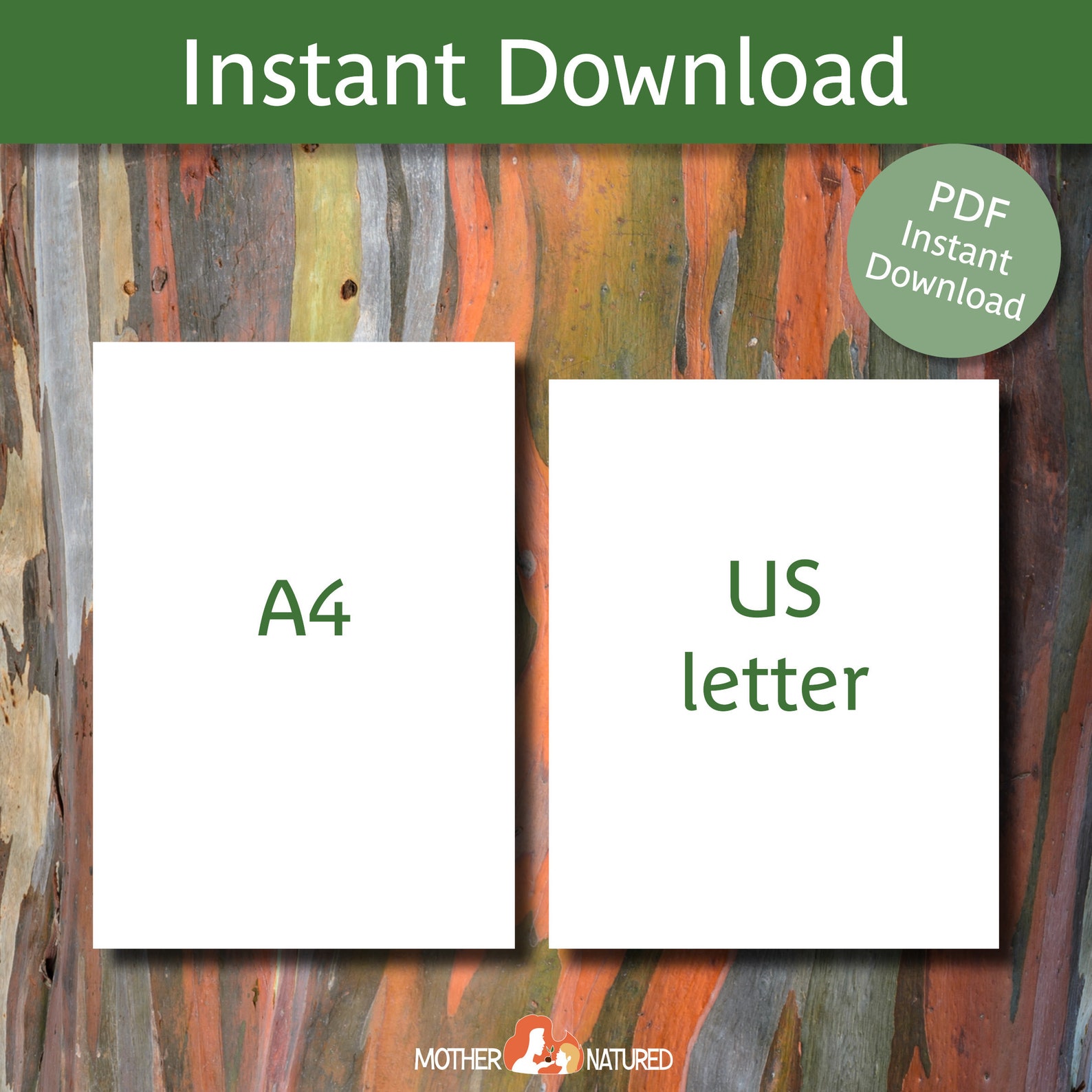 Food Chain Cards Food Web Cards Food Chain Explain Cards Food Web ...