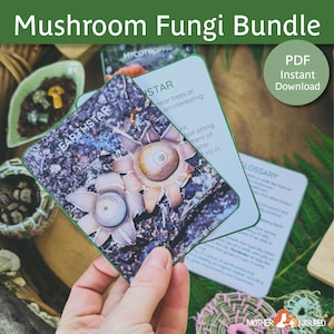 Fungi Study Bundle | Mushroom Study Bundle | Fungi Printables ...