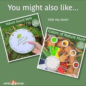 Sorting Color Activity | Sorting Colour Activity | Colour Recognition ...