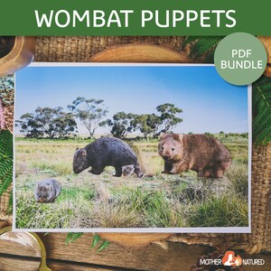 Australian Animal Puppets | Koala Puppets | Kangaroo Puppets | Wombat ...