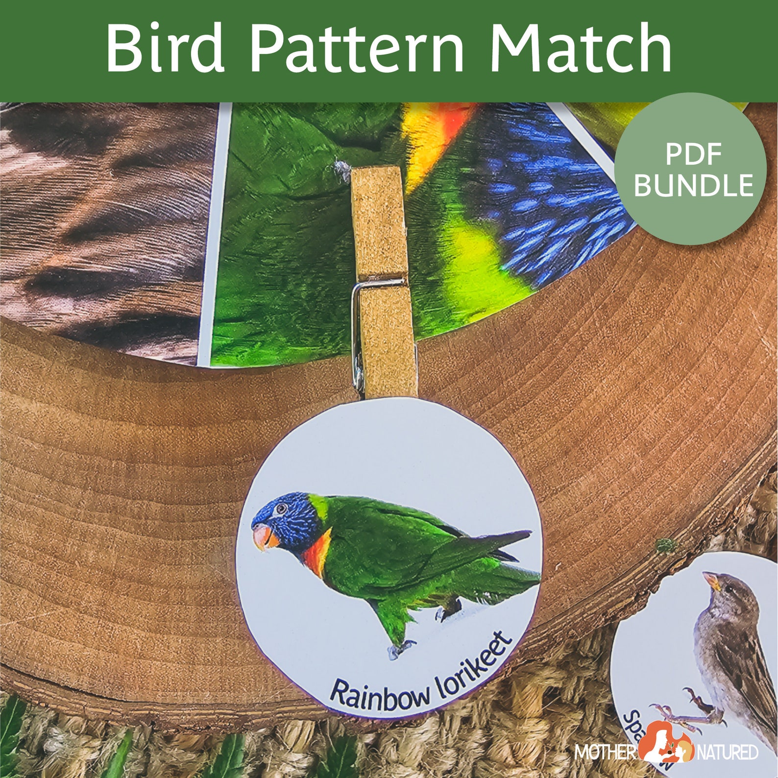 Bird Matching Activity | Bird Game | Pattern Activity | Preschool ...