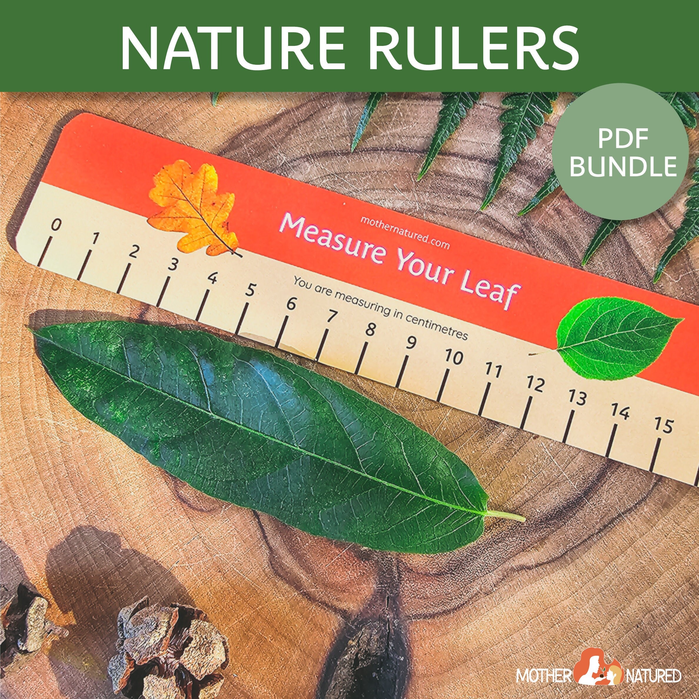 Measure Nature Rulers Outdoor Play Printables Nature Math - Etsy Australia