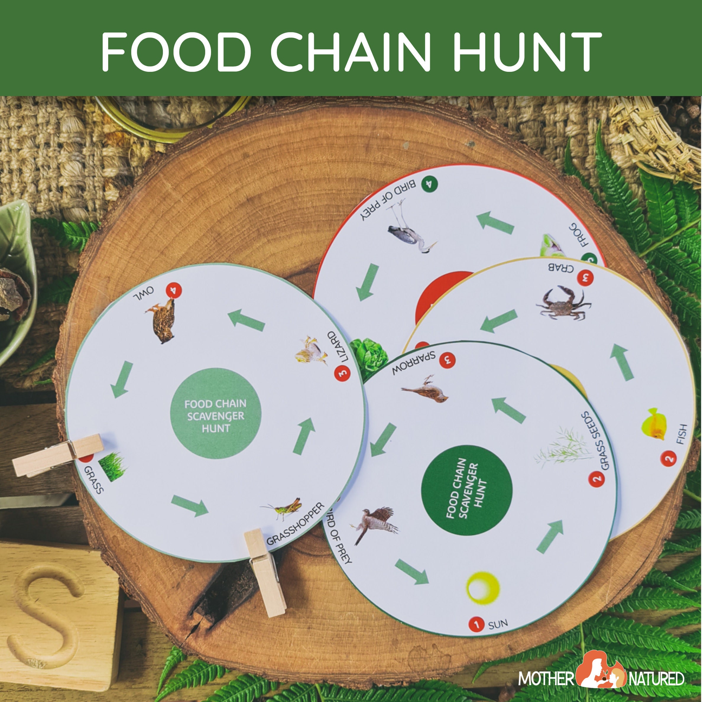 Food Chain Scavenger Hunt Food Chain Hunt Living Things Food Chin Hunt ...
