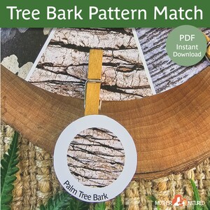Tree Bark Matching Activity | Bark Activity | Tree Study Printable ...