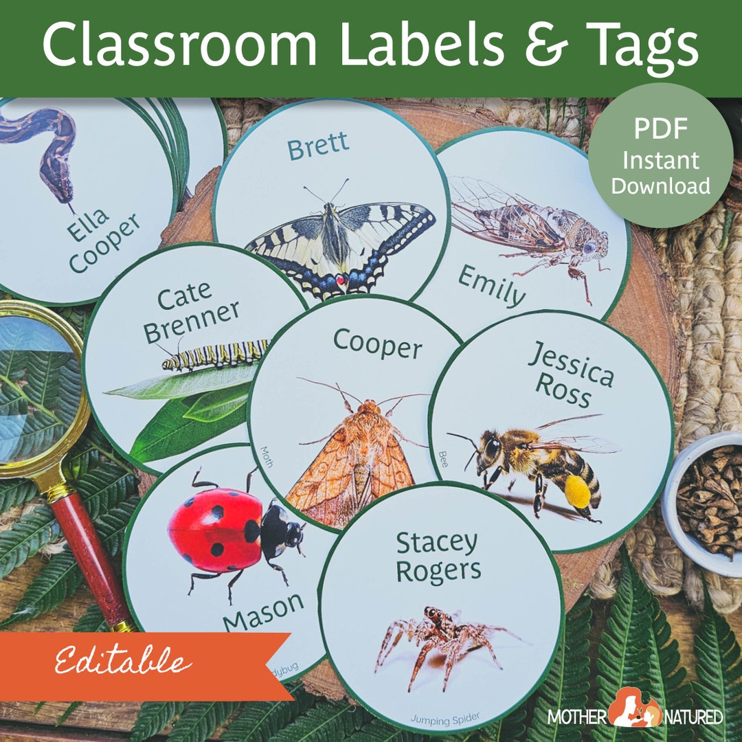 Editable Wildlife Name Labels | Editable Wildlife Name Tags | Classroom ...
