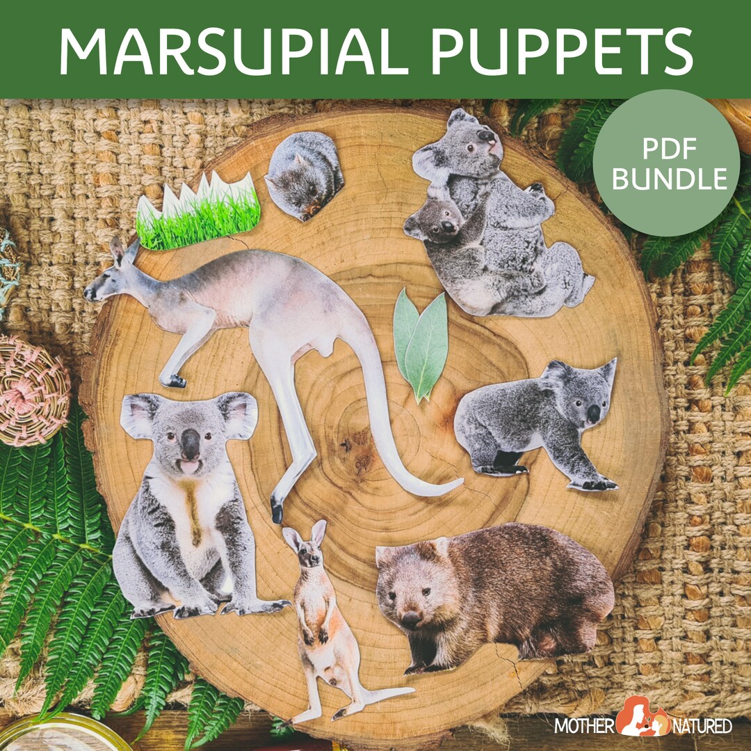 Australian Animal Puppets | Koala Puppets | Kangaroo Puppets | Wombat ...