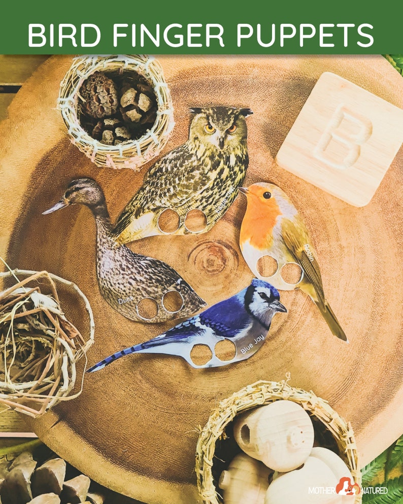 Bird Finger Puppets for Kids Bird Puppet Printable Bird - Etsy