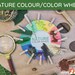 Nature COLOUR Wheel Nature COLOR Wheel Nature Play - Etsy