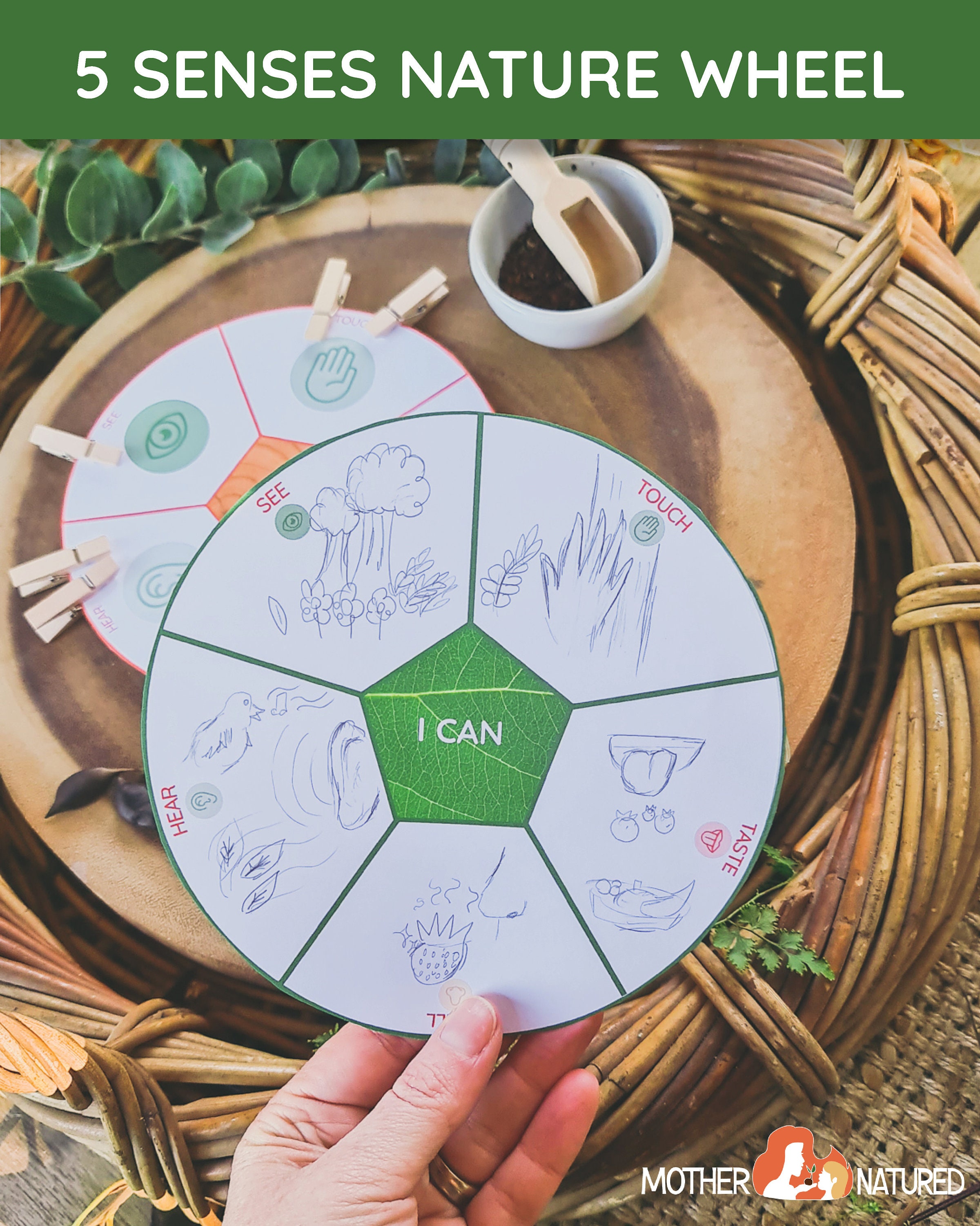 Five Senses Nature Wheel Nature Sensory Activity for Kids - Etsy