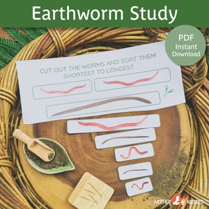 Earthworm Study Bundle | Earthworm Activities | Earth Worm Printables ...
