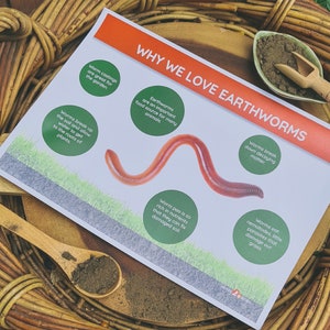 Earthworm Study Bundle Earthworm Activities Earth Worm - Etsy