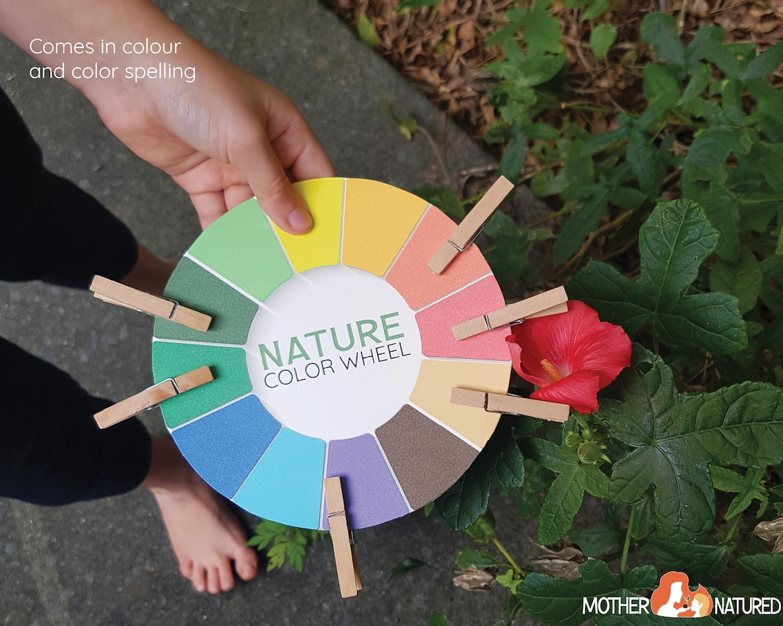 Nature COLOUR Wheel Nature COLOR Wheel Nature Play - Etsy