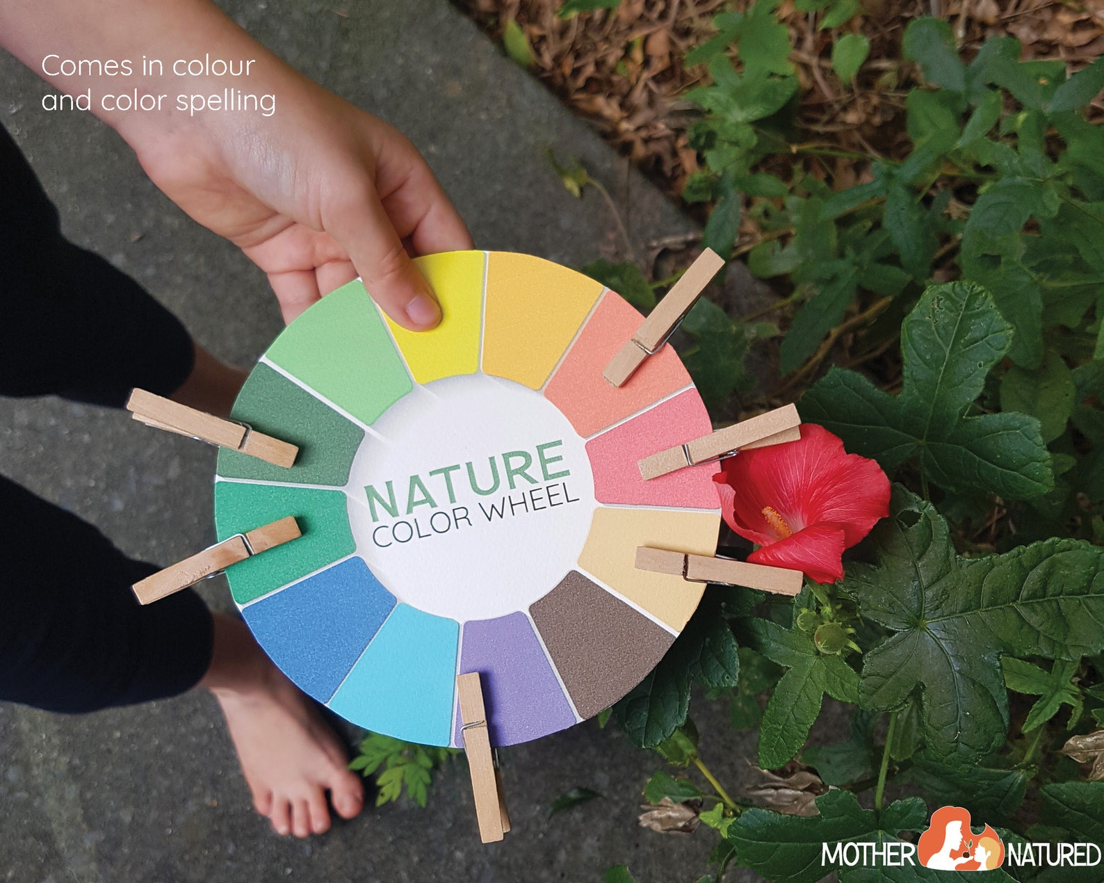 Nature COLOUR Wheel Nature COLOR Wheel Nature Play - Etsy UK