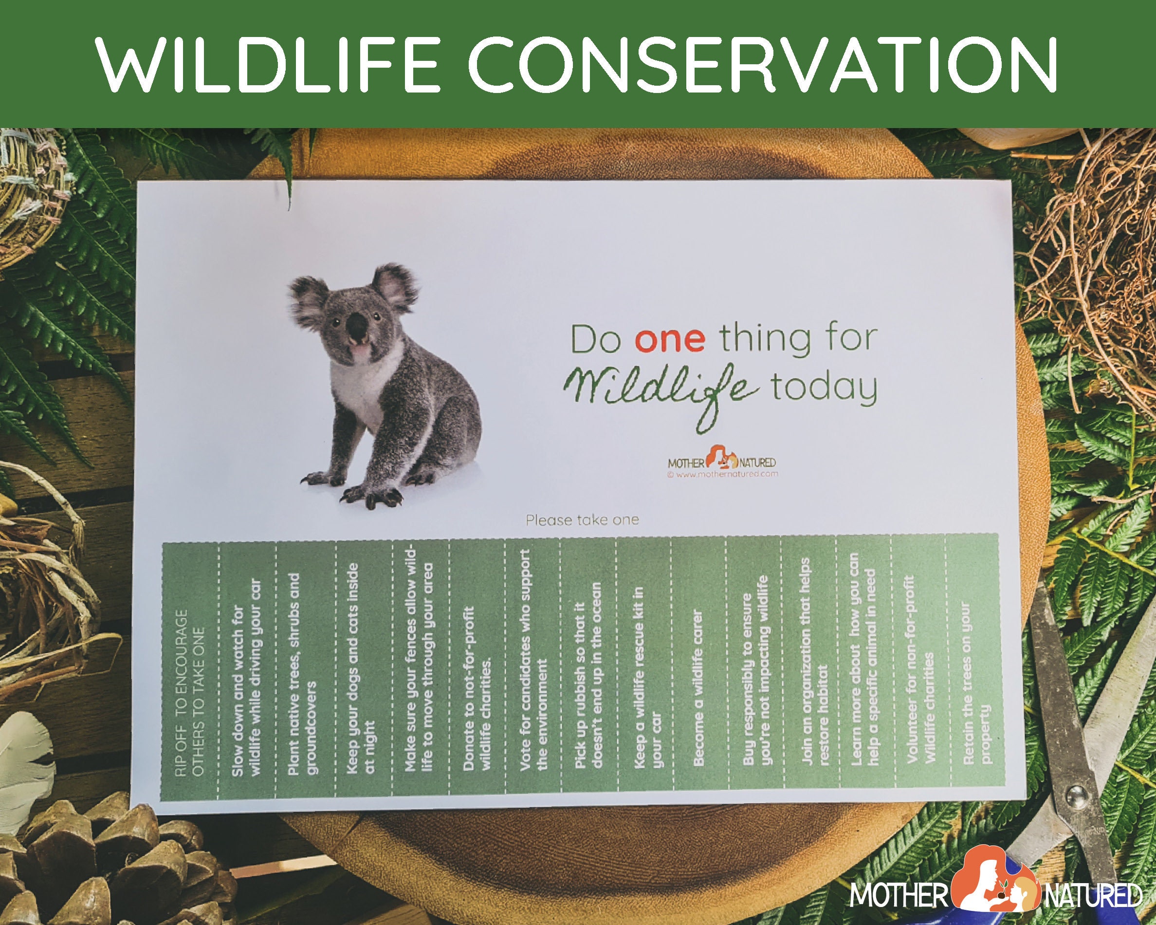 Wildlife Conservation Tear off Task for Kids Wildlife Conservation ...