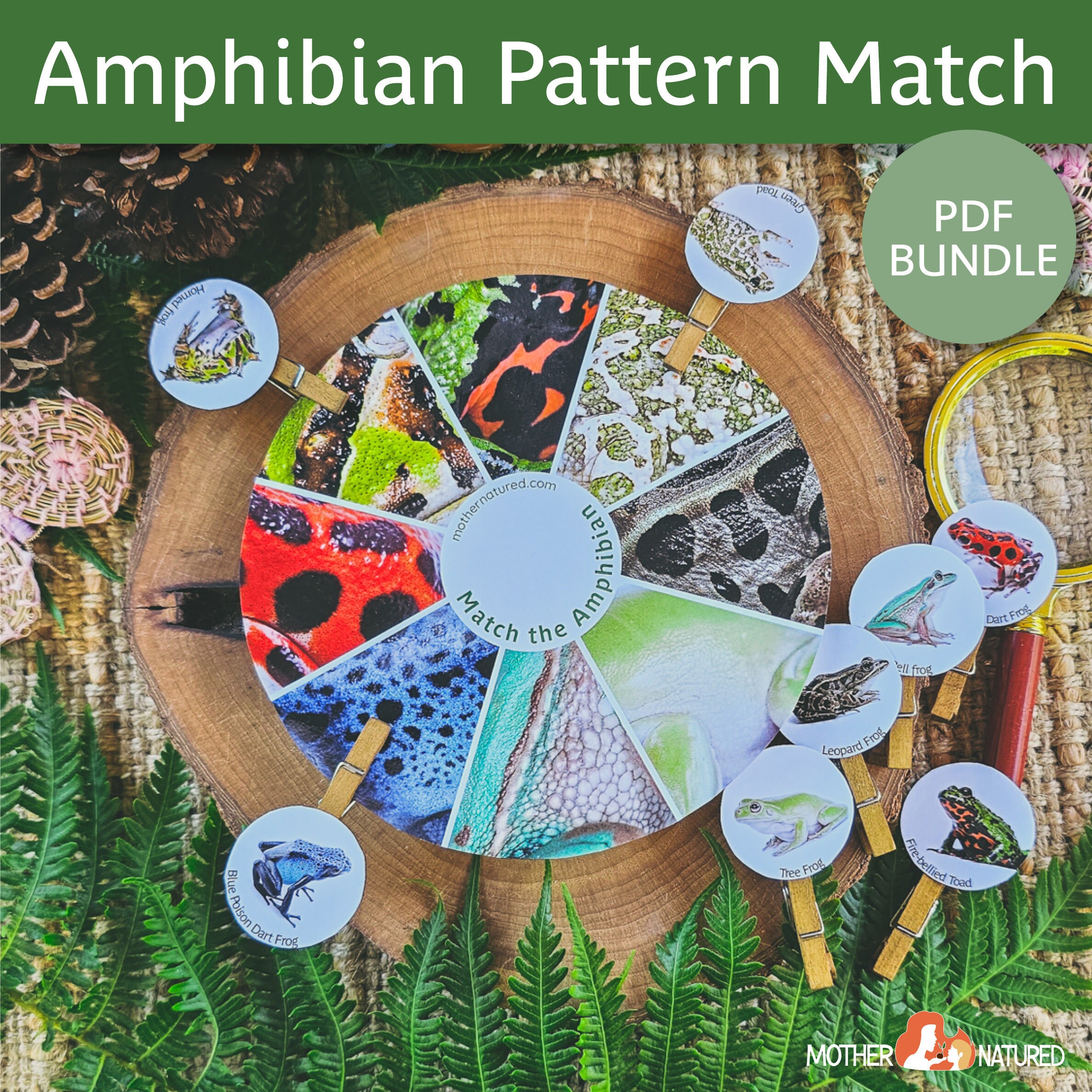 Frog Matching Activity Frog Game Pattern Activity - Etsy
