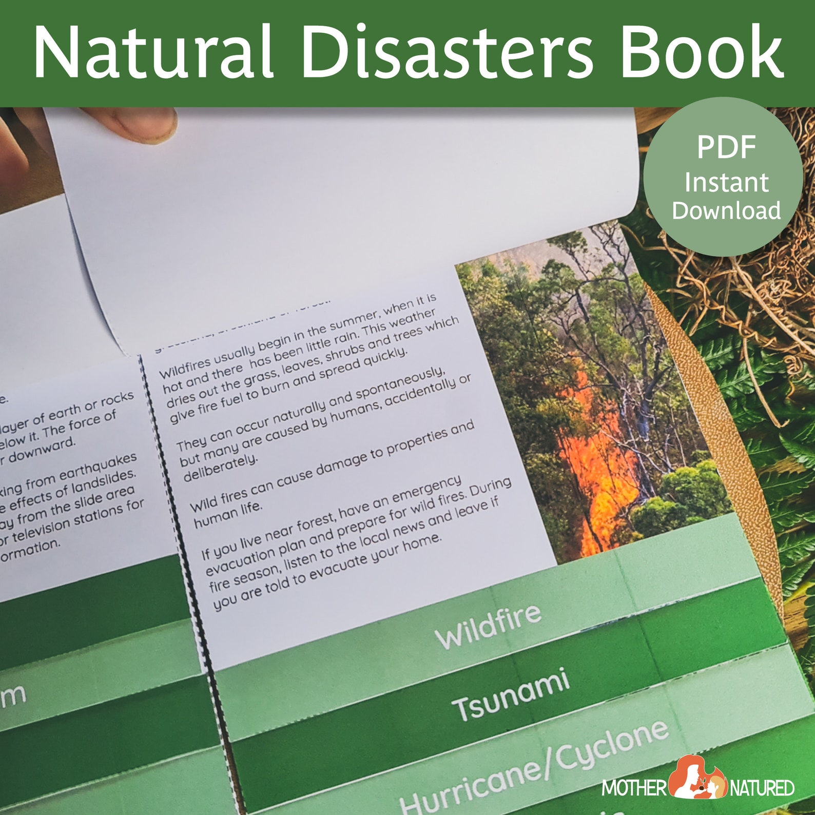 Natural Disaster Worksheet Natural Disasters Booklet Natural Disasters ...