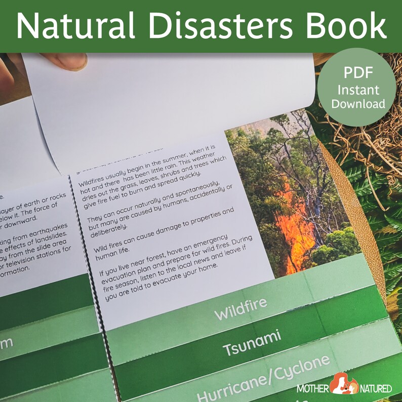 Natural Disaster Worksheet Natural Disasters Booklet Natural Disasters ...