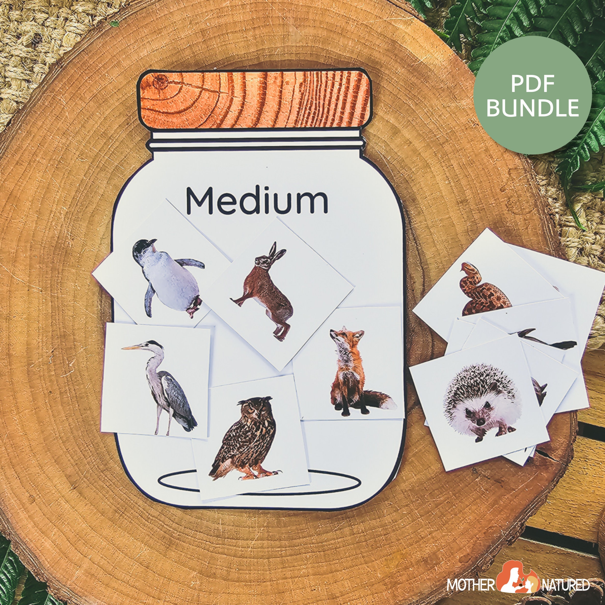 Animal Sorting Activity Nature Sorting Activity Outdoor - Etsy