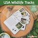 American Animal Tracks Guide Animal Tracking for Kids USA Animal ...
