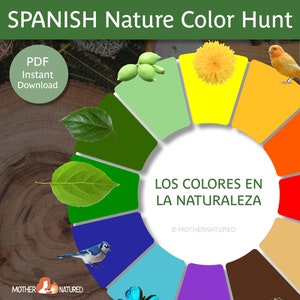 SPANISH Nature Color Wheel | Colores En Búsqueda Del Tesoro En La ...