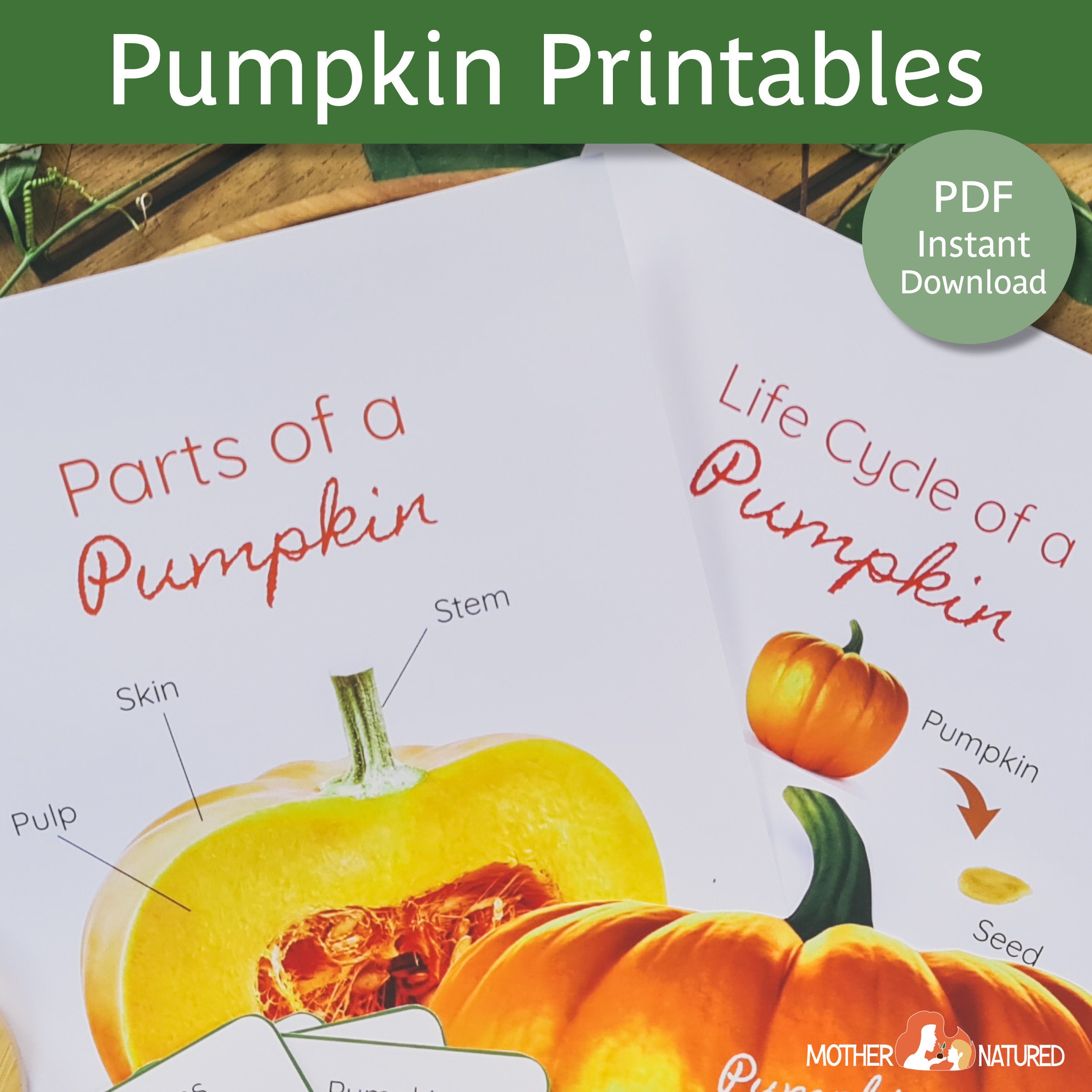 Pumpkin Printable Pumpkin Activities for Kids Pumpkin Life Cycle ...