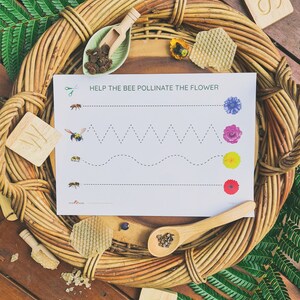 World Bee Day Bee Printables Bee Study Honey Bee Digital - Etsy Australia