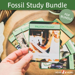 FOSSIL Printables for Kids | Fossil Bundle | Dinosaur Digital Download ...