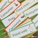 Food Chain Word Wall Resources Food Web Word Wall Food Chain Posters ...