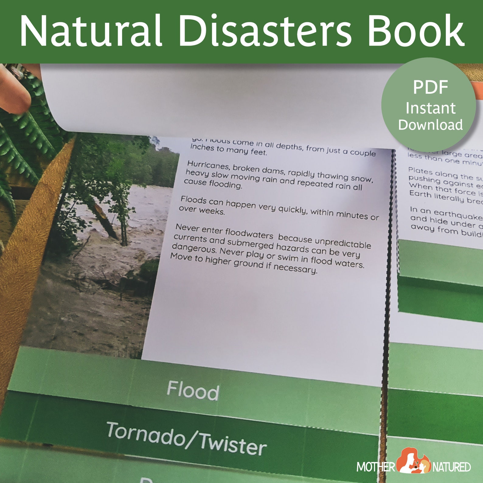 Natural Disaster Worksheet Natural Disasters Booklet Natural Disasters ...