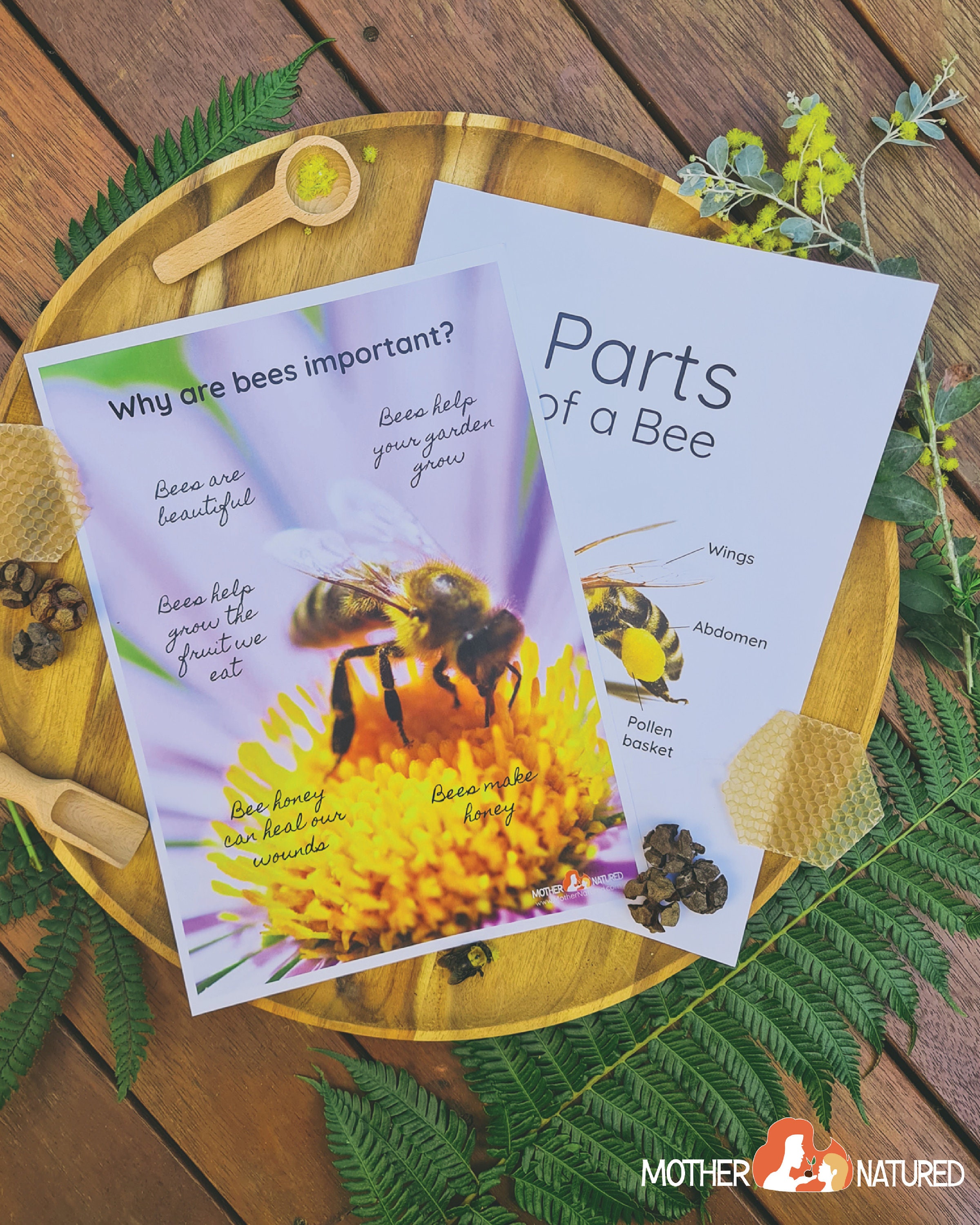 World Bee Day Printable Activity Pack | Bee Life Cycle, Bee Crafts, Bee ...