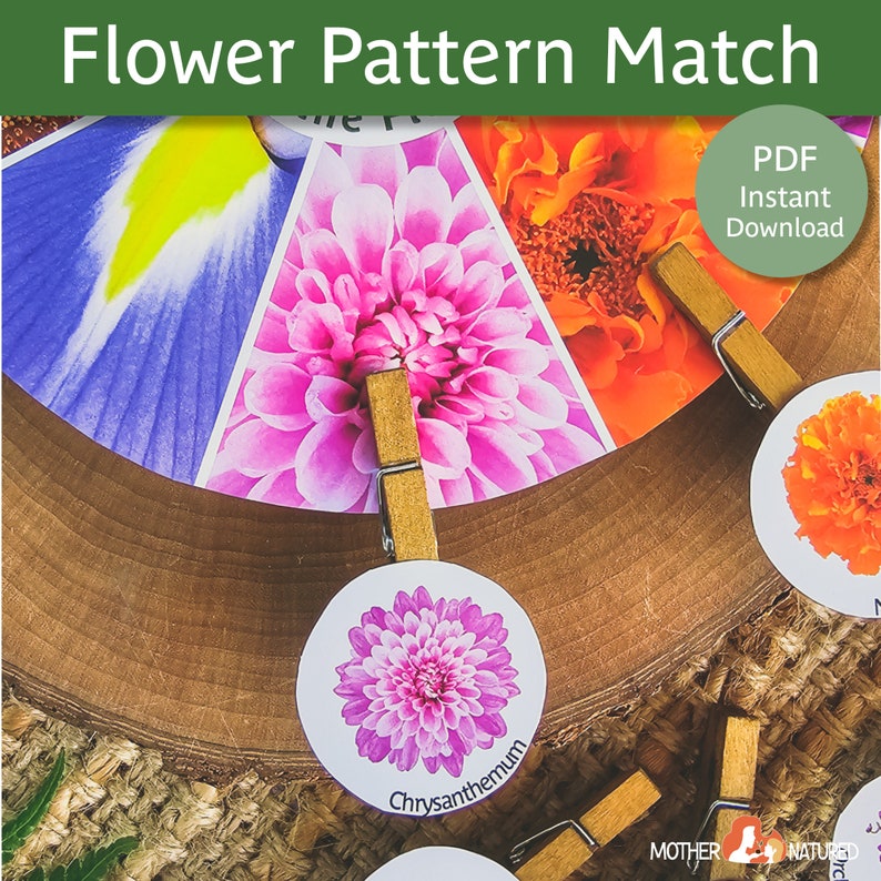 Flower Matching Activity Flower Pattern Activity Flower Study Printable ...