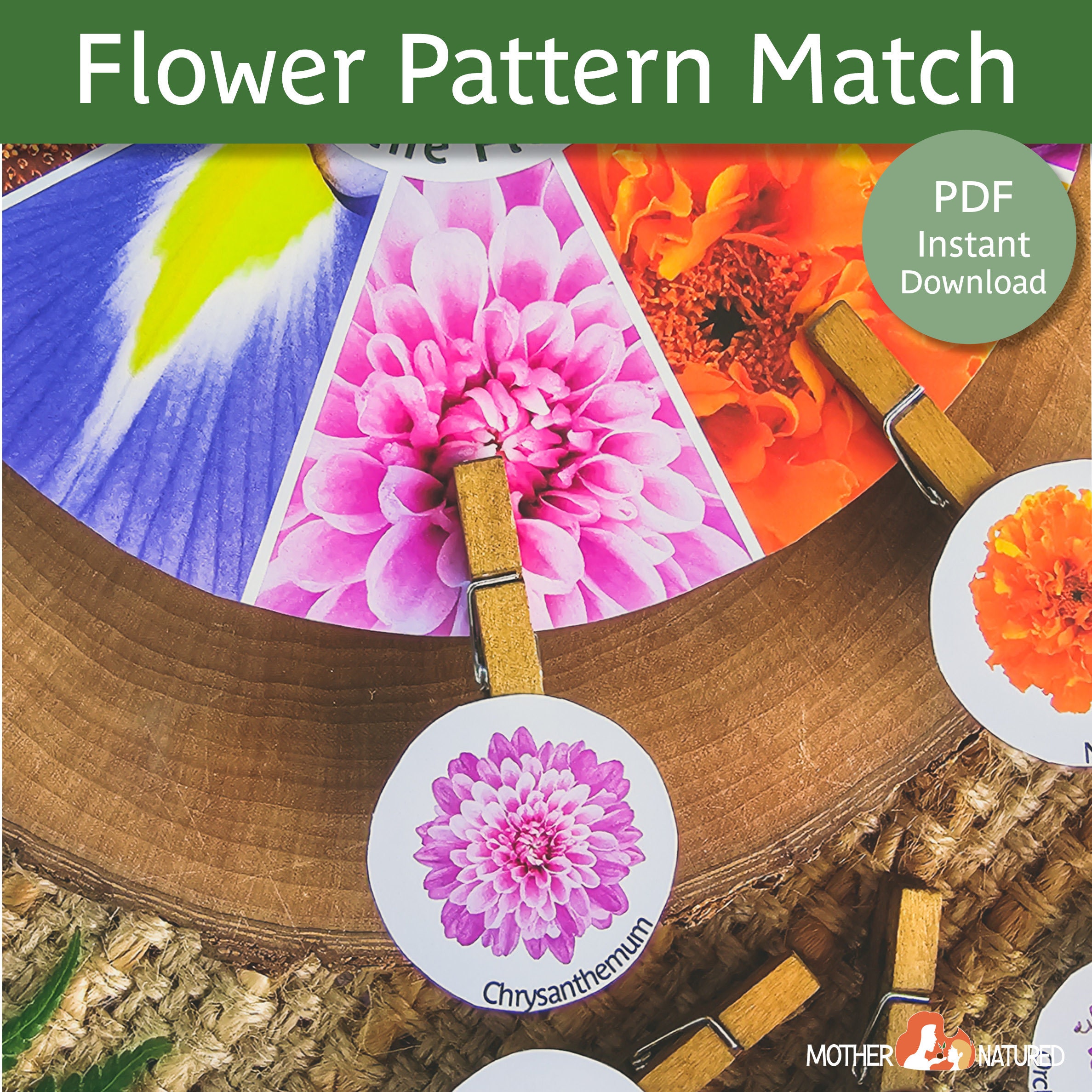 Flower Matching Activity Flower Pattern Activity Flower Study Printable ...