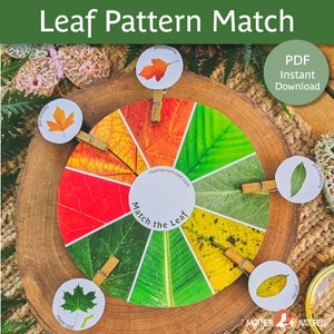 Nature Matching Activity Bundle | Nature Pattern Bundle | Nature ...