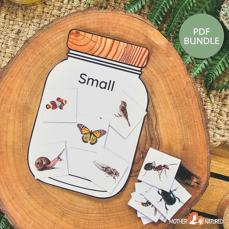 Animal Sorting Activity Nature Sorting Activity Outdoor - Etsy Australia