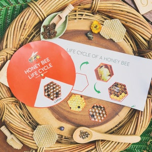 World Bee Day | Bee Printables | Bee Study | Honey Bee Digital Download ...