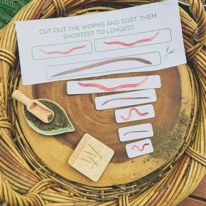 Earthworm Study Bundle Earthworm Activities Earth Worm - Etsy