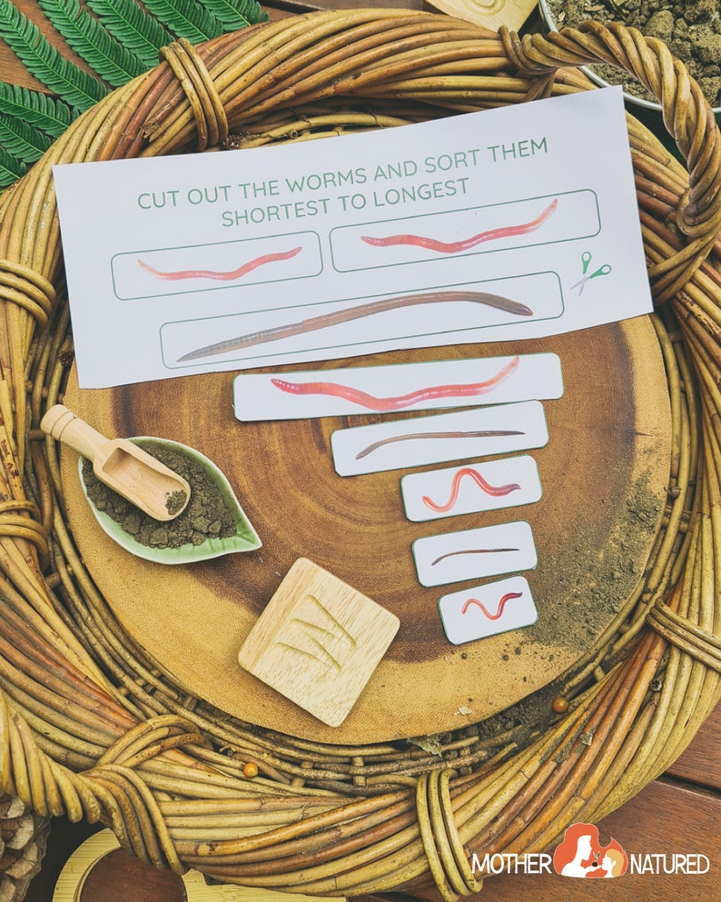 Earthworm Study Bundle Earthworm Activities Earth Worm - Etsy