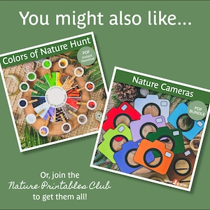 Nature COLOUR Wheel | Nature COLOR Wheel | Nature Play Printable ...